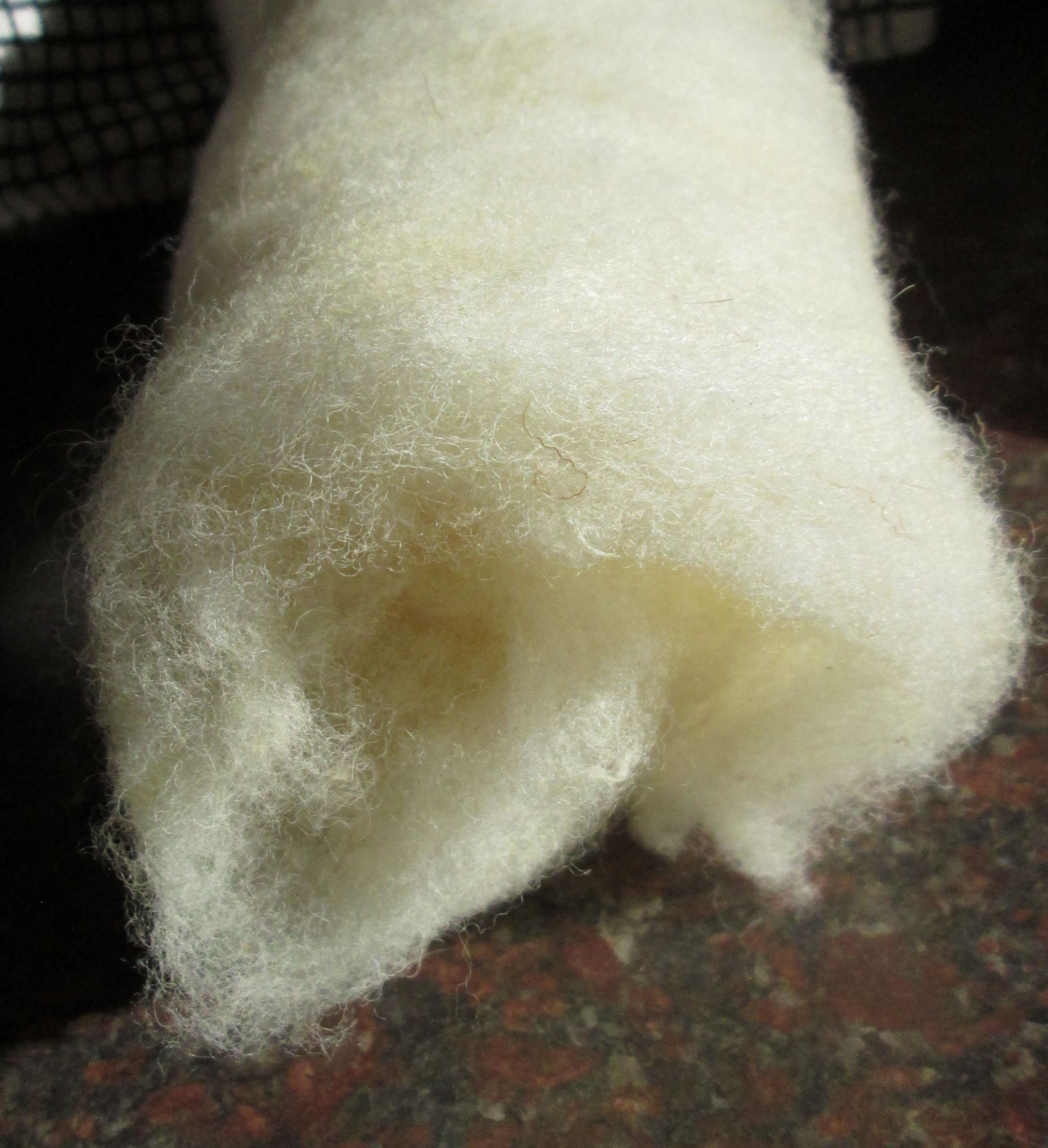 How Different Types of Processed Fibre Are Produced - Dorset Wool
