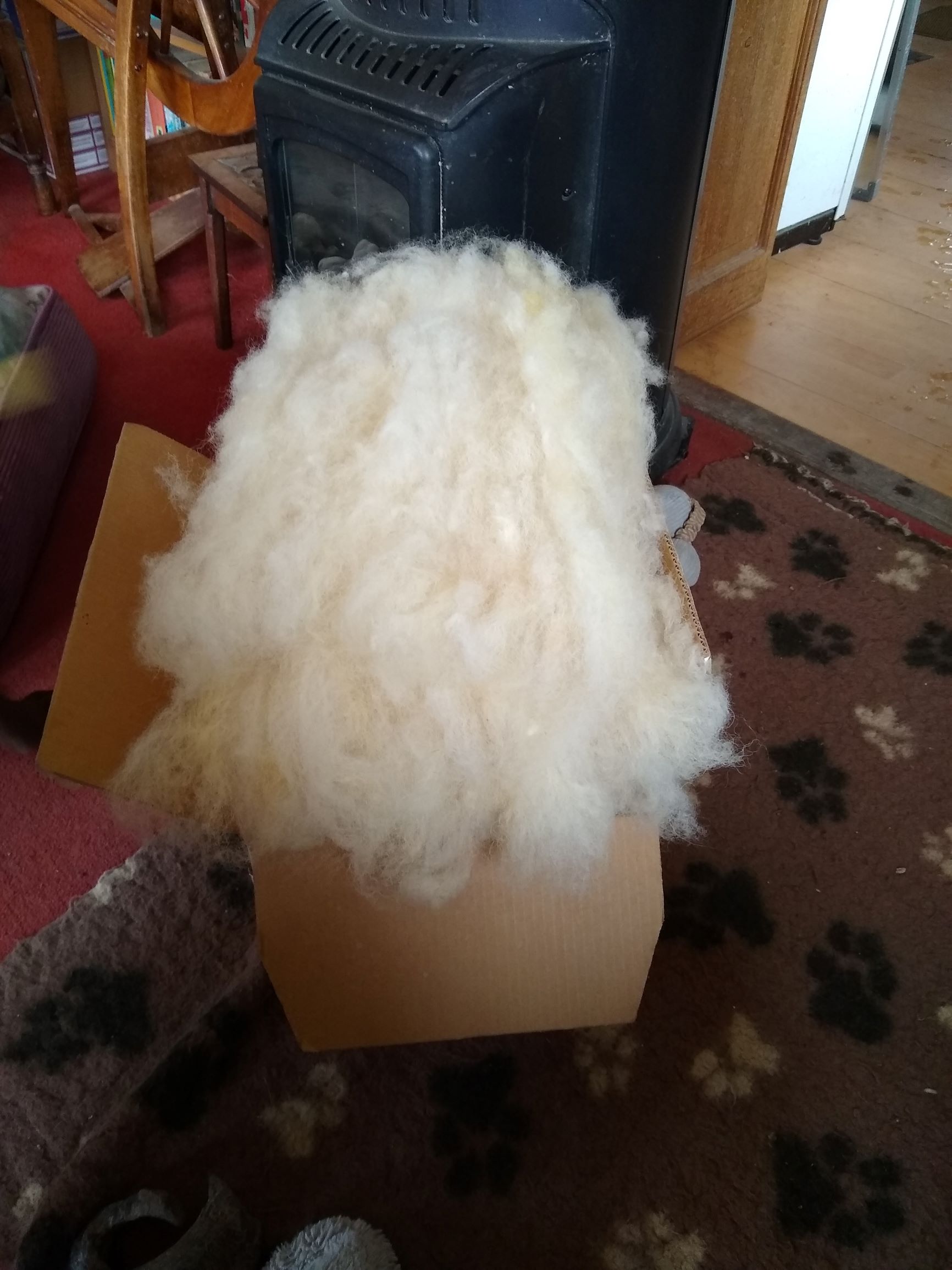 Frosty Mornings - The Dorset Wool Year – February 2021